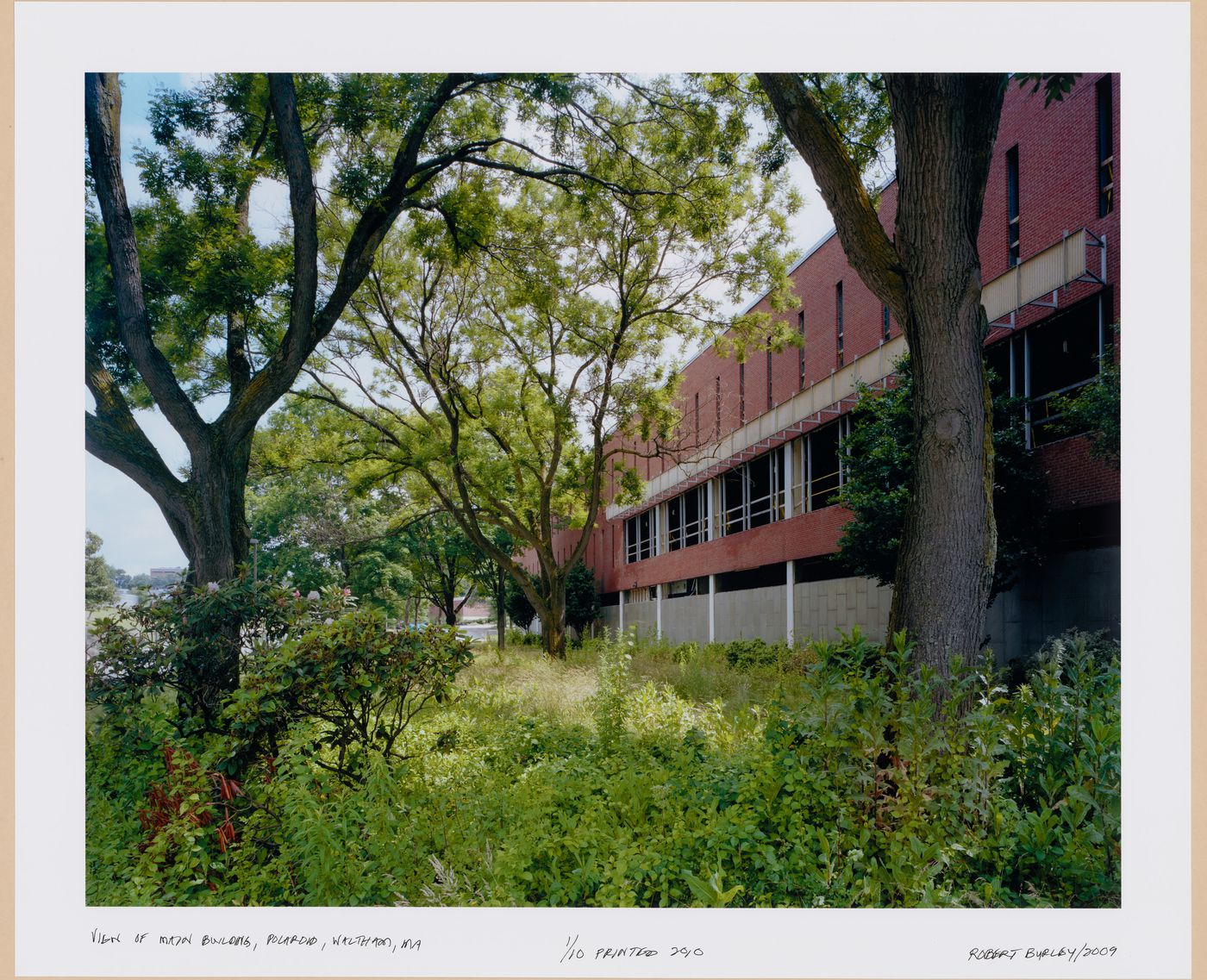 The Disappearance of Darkness Series: View of Main Building, Polaroid ...