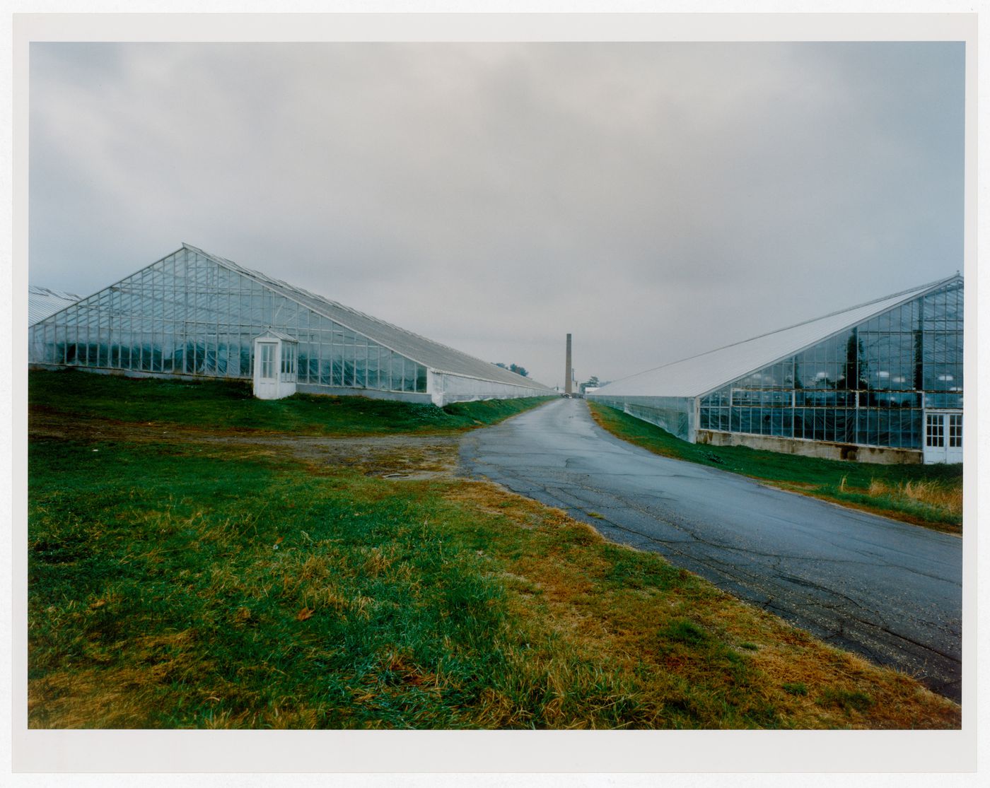 Elliot Rose Company, Madbury, New Hampshire