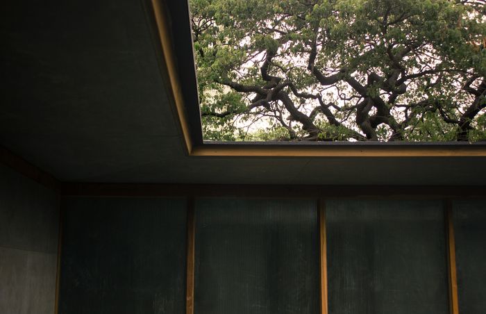 Saat Rasta - Bijoy Jain fonds | CCA