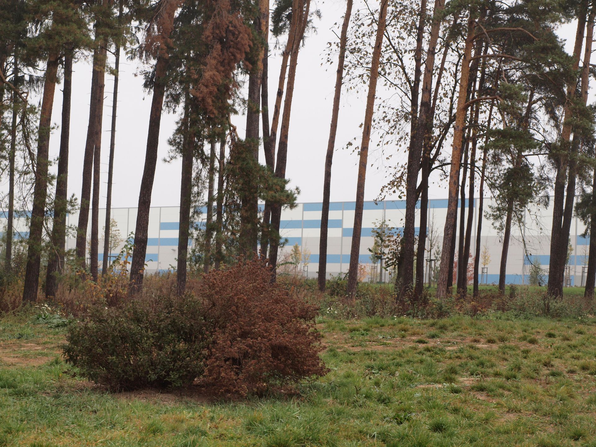 landscape logistics ltd