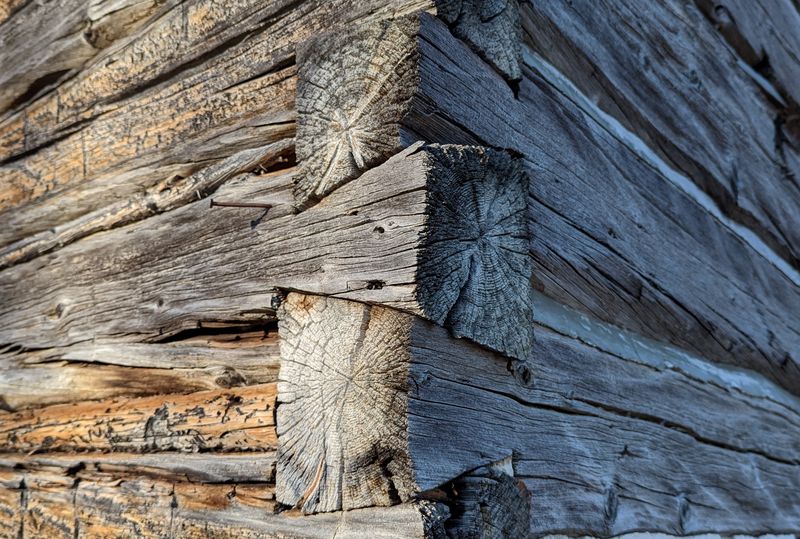 Past exhibitions, publications, and events | CCA