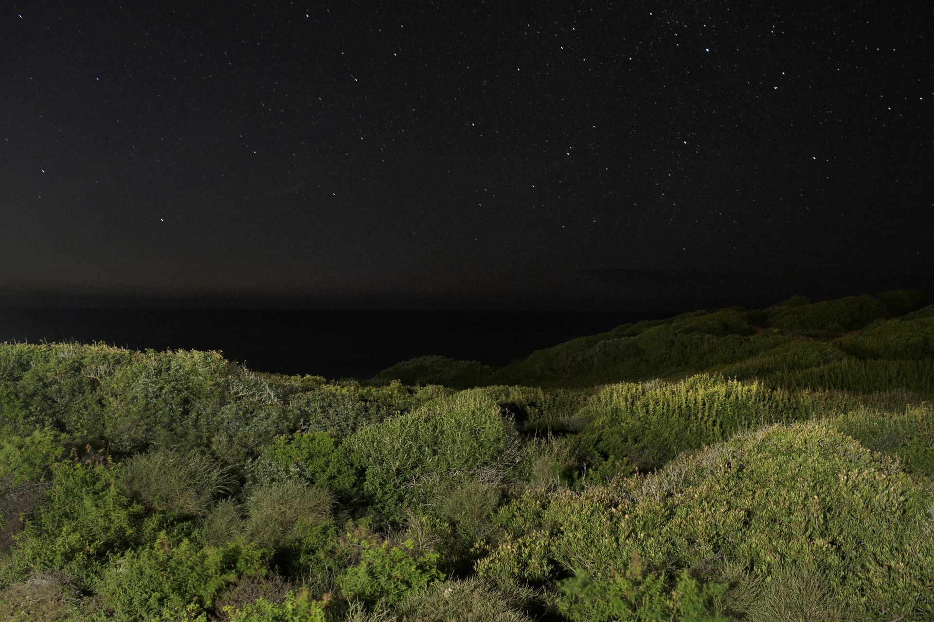 Darkness, Silence, and Nature as a Political Plan