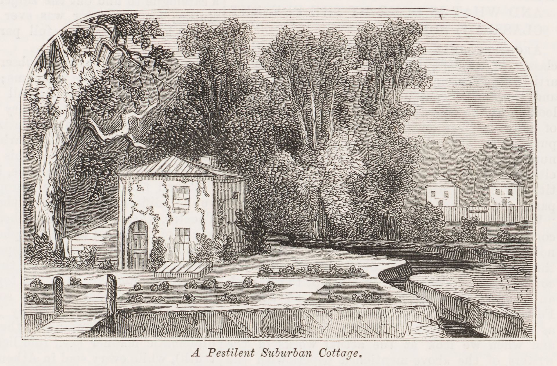 Corpus sanum in domo sano